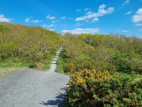 10 Best Trails and Hikes in Aberystwyth | AllTrails