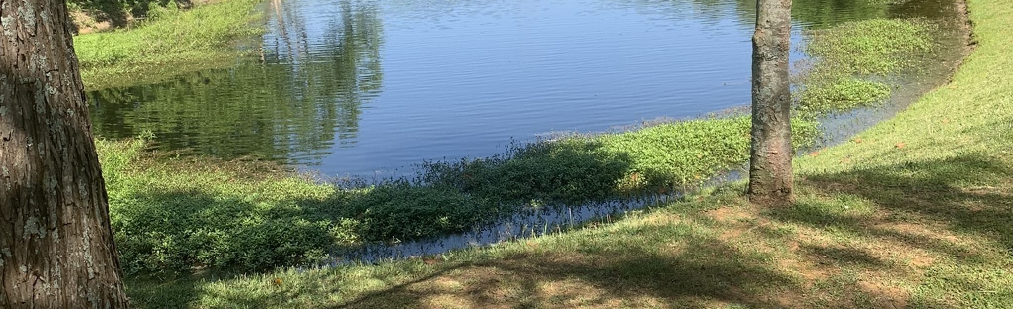 Logan Farm Park Loop: 196 Reviews, Map - Georgia | AllTrails