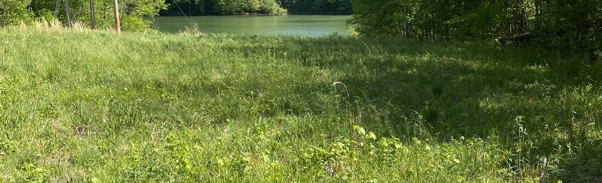 Collins River Nature Trail: 249 foto's - Tennessee | AllTrails
