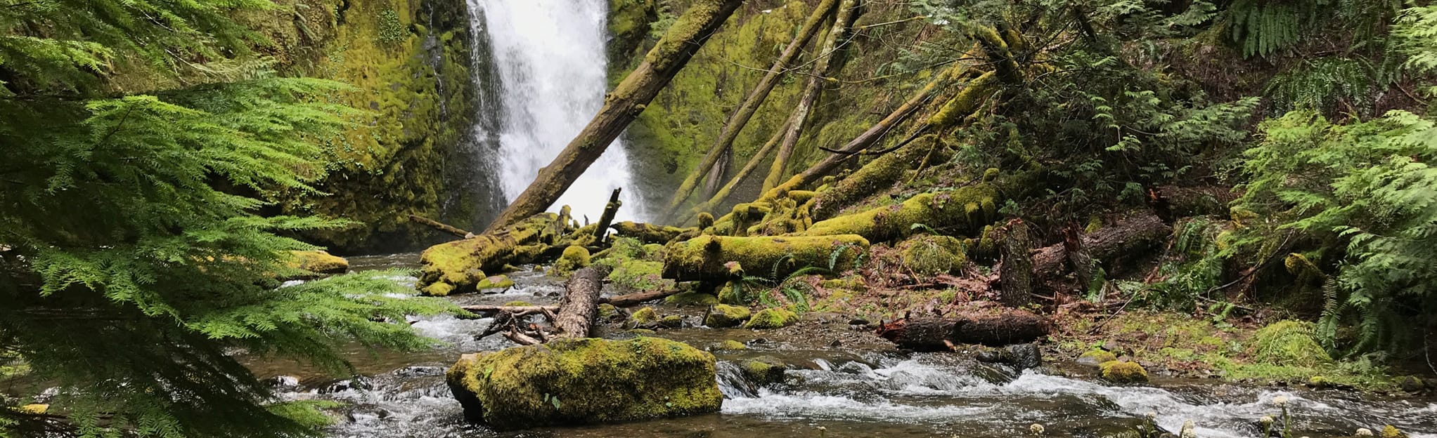 Hemlock Falls Trail | Map, Guide - Oregon | AllTrails