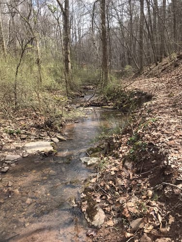 2023 Best Moderate Trails in Bluestone State Park | AllTrails