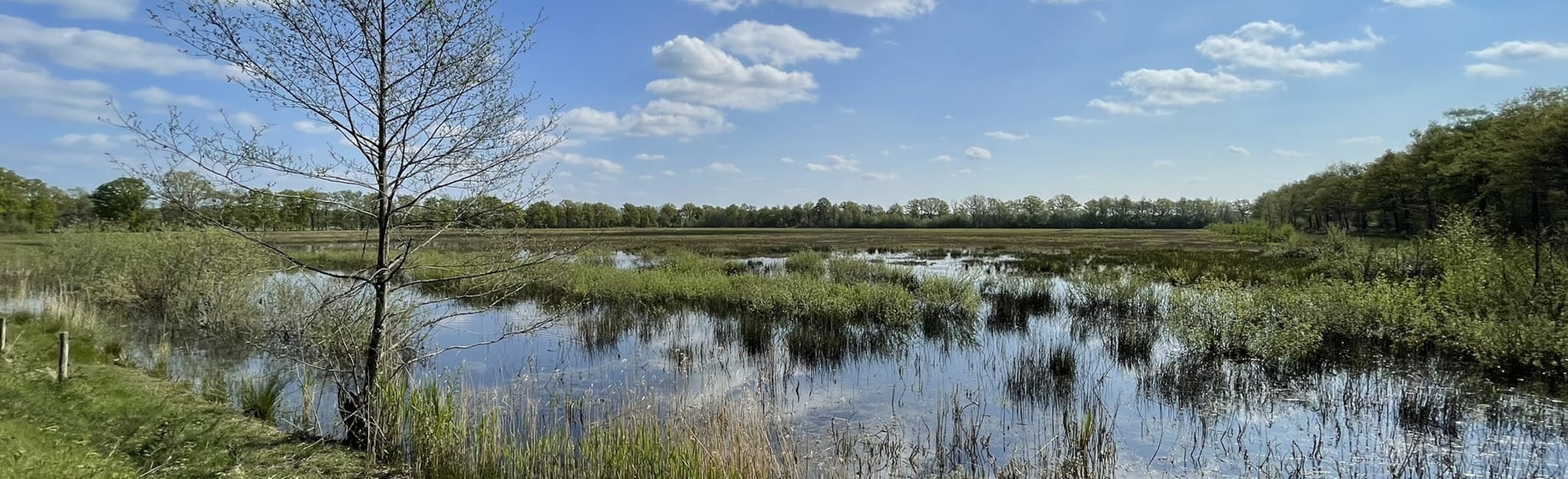 Dutch Pilgrims' Trail Segment 2.2: Haaren - Middelbeers: 4 Reviews, Map ...