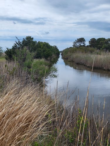 Best Hikes and Trails in Magothy Bay Natural Area Reserve | AllTrails