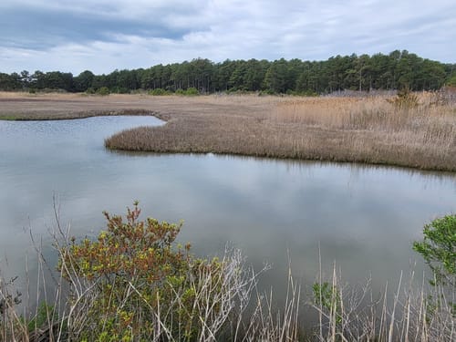 Best Hikes and Trails in Magothy Bay Natural Area Reserve | AllTrails