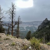 Hellroaring Plateau Trail, Montana - 43 Reviews, Map | AllTrails