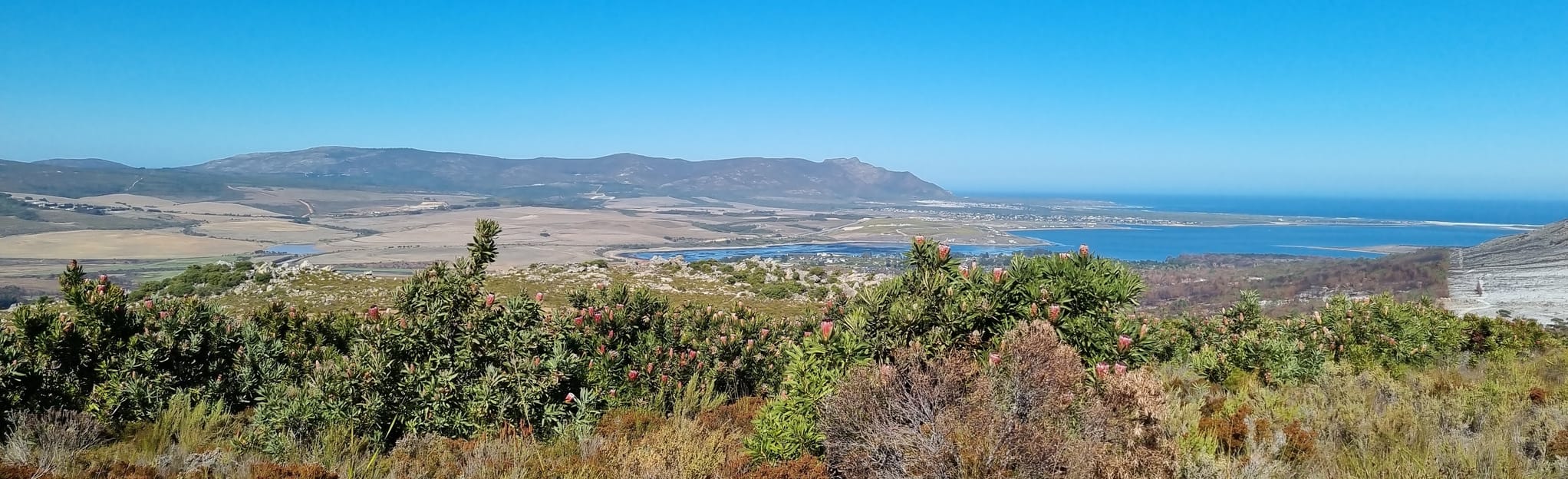 Honingklip Black Route, Western Cape, South Africa - 2 Reviews, Map | AllTrails
