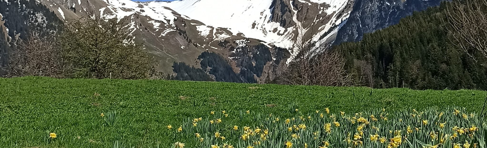 Cascade de Morette - Route des Cascades: 70 Fotos - Alta Saboia, França ...