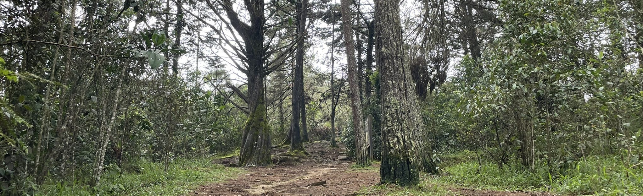 Sendero La Flora - Antioquia, Colombia | AllTrails