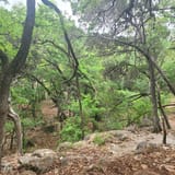 Landa Park Loop, Texas - 356 Reviews, Map | AllTrails