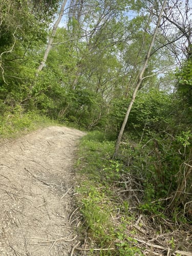 Best Hikes and Trails in Hanging Rock | AllTrails