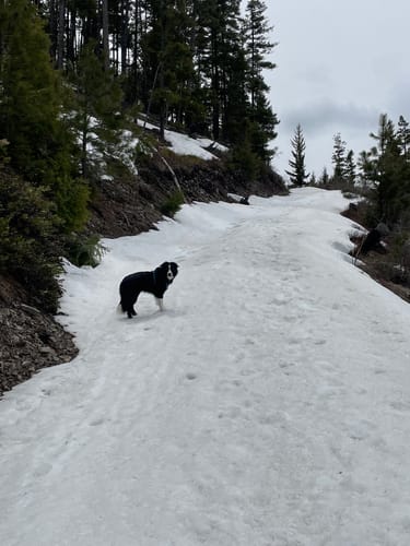 Best Hikes and Trails in Fish Creek State Park | AllTrails