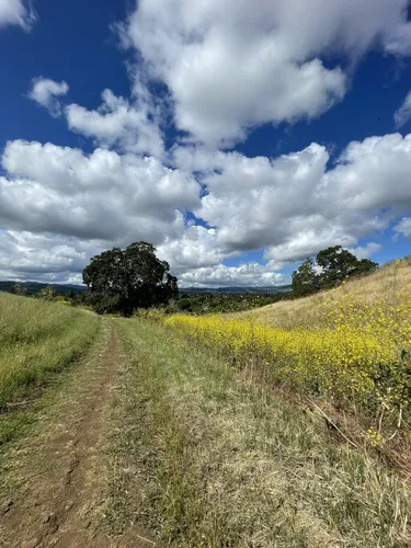 Best Hikes and Trails in Lime Ridge Open Space | AllTrails