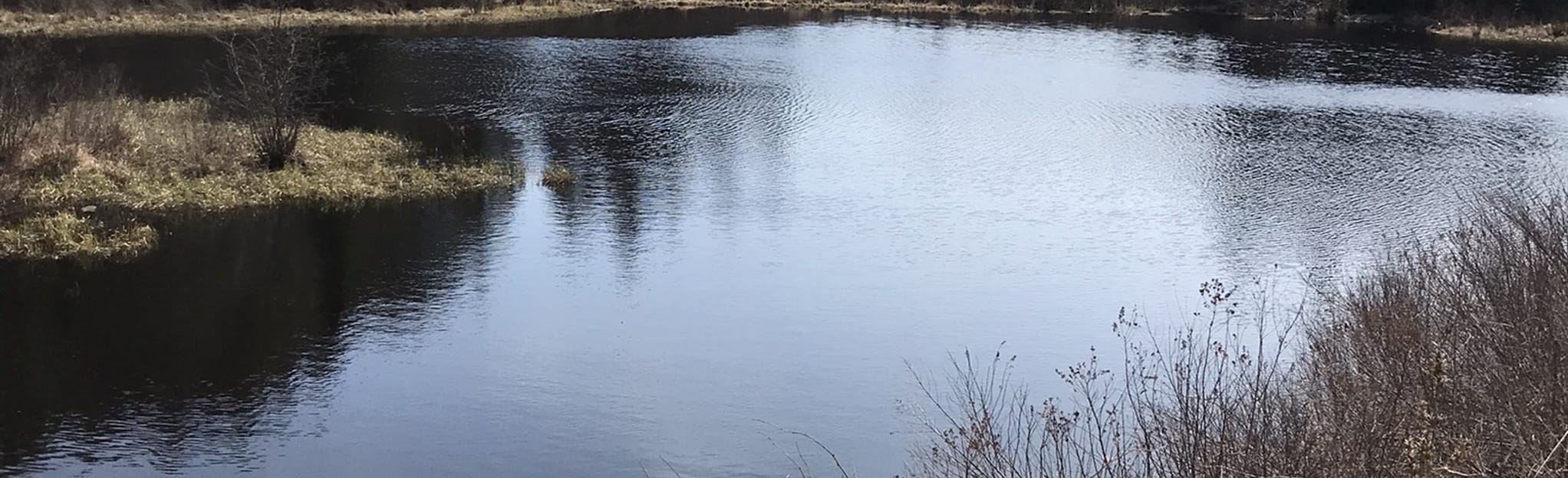 Haliburton Trail: Koshlong Lake Road to Gelert: 4 Reviews, Map ...