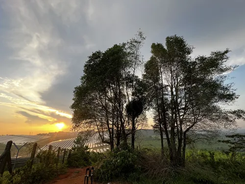 10 Best Trails and Hikes in Johor | AllTrails