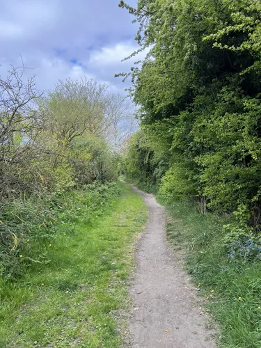 10 Best Trails, Walks, and Paths in Kingston upon Hull | AllTrails