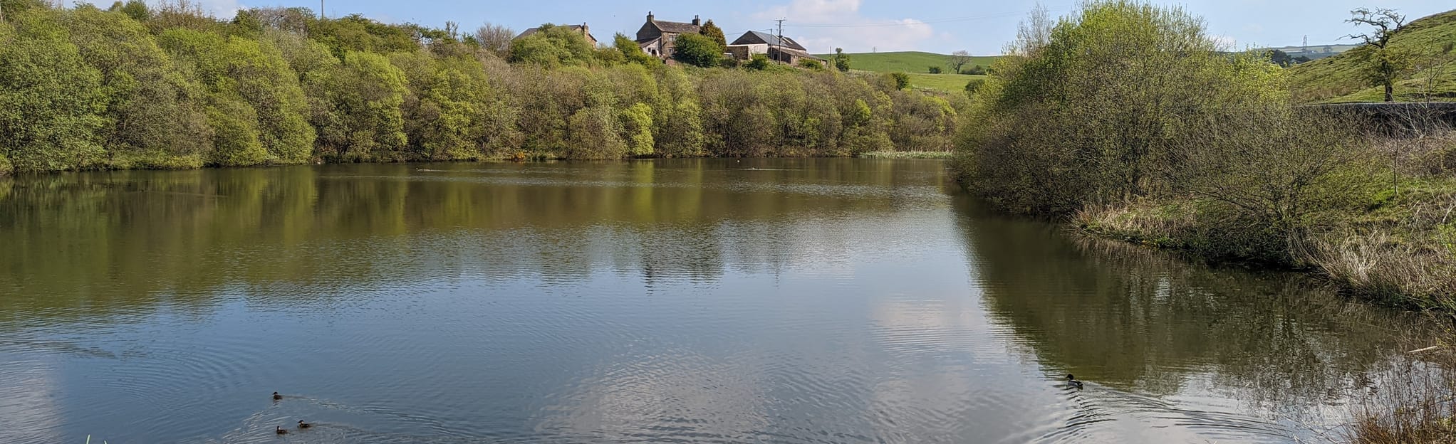 Rowley Lake and Lee Green Reservoir Loop: 88 Fotos - Lancashire ...