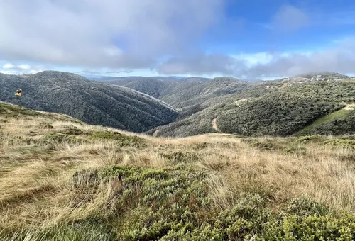 10 Best Hikes and Trails in Alpine National Park | AllTrails