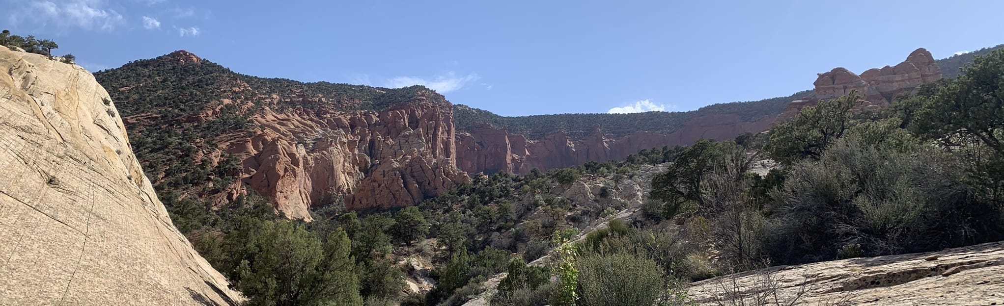 Red Canyon Trail: 36 Reviews, Map - Utah | AllTrails