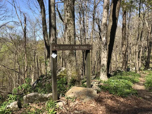 10 Best Backpacking Trails in Frozen Head State Park | AllTrails