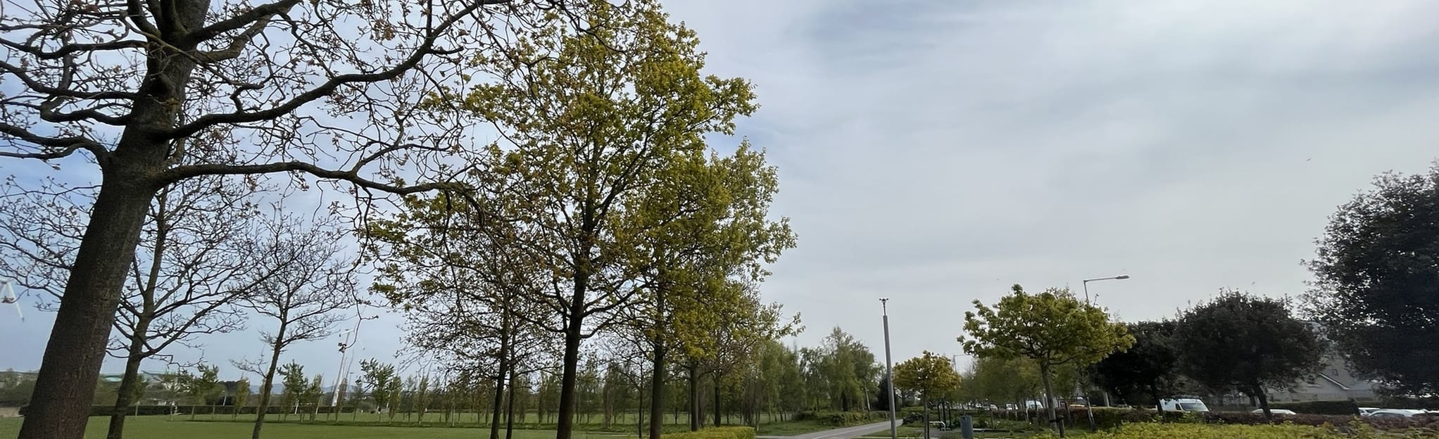 Father Collins Park: 10 foto - Dublino, Irlanda | AllTrails