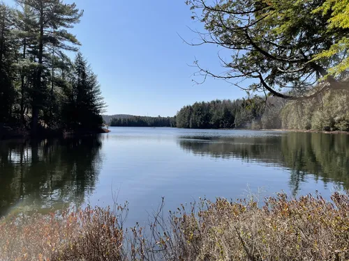 10 Best Lake Trails in Limberlost Forest and Wildlife Reserve | AllTrails