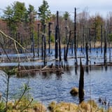 Monson Community Loop, New Hampshire - 265 Reviews, Map | AllTrails