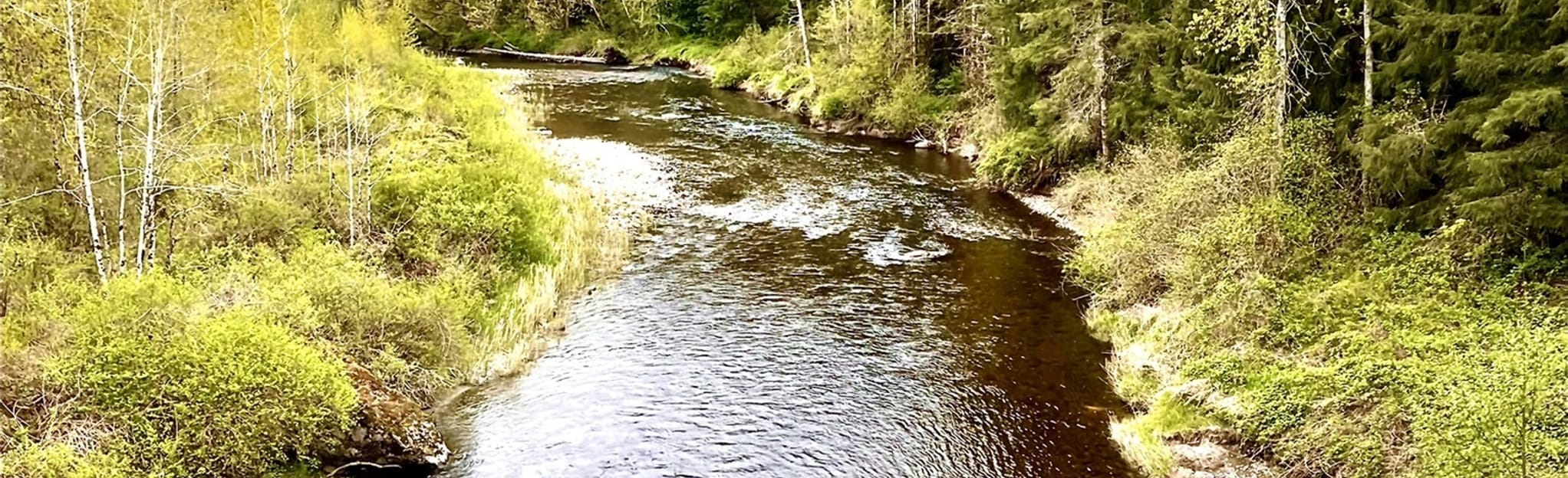 Centennial Trail, Washington - 658 Reviews, Map | AllTrails