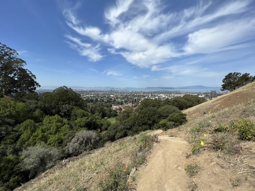 2023 Best 10 Trail Running Trails in Berkeley | AllTrails