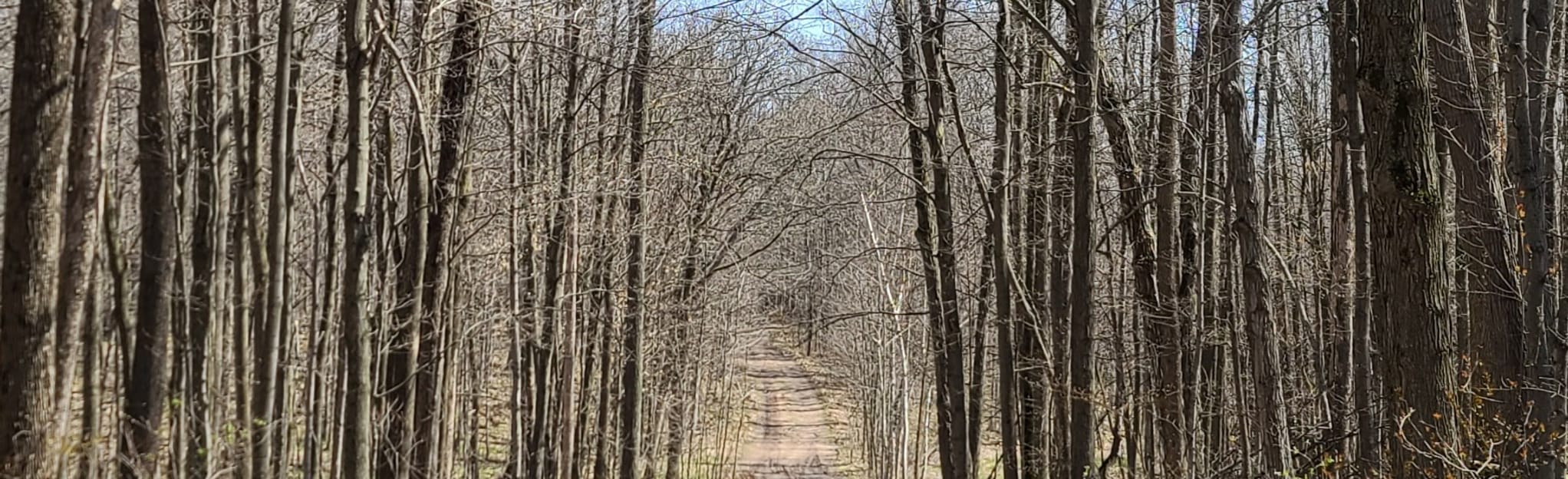 Bruce Trail: Chinguacousy Road : 149 Photos - Ontario, Canada ...