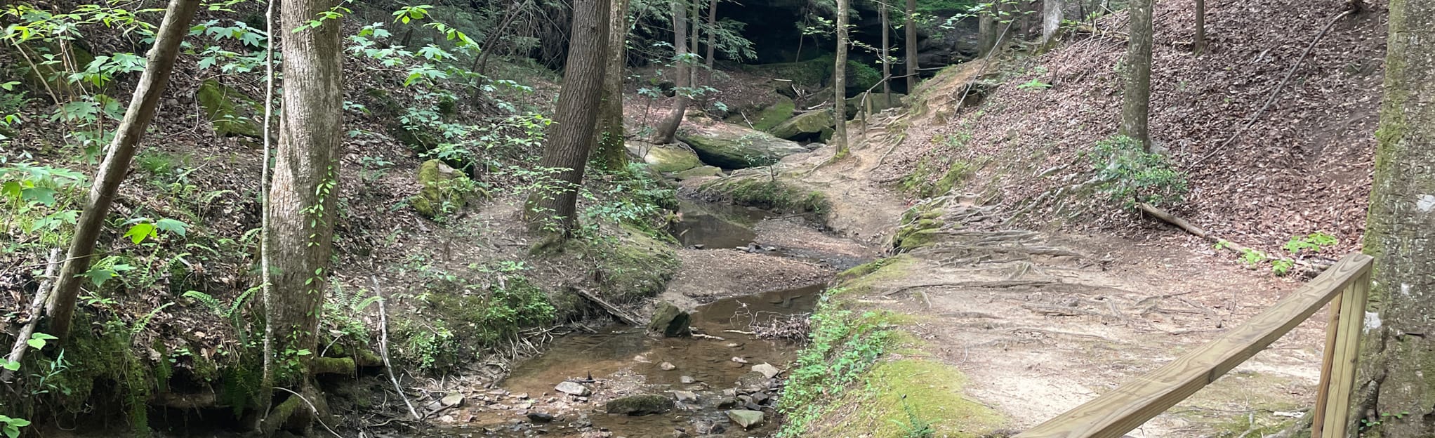 Natural Bridge Park Loop, Alabama - 249 Reviews, Map | AllTrails