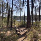 Neusiok Trail, North Carolina - 92 Reviews, Map | AllTrails