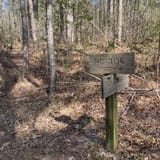 Neusiok Trail, North Carolina - 92 Reviews, Map | AllTrails