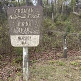 Neusiok Trail, North Carolina - 92 Reviews, Map | AllTrails