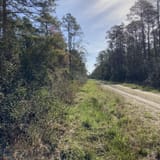 Neusiok Trail, North Carolina - 92 Reviews, Map | AllTrails