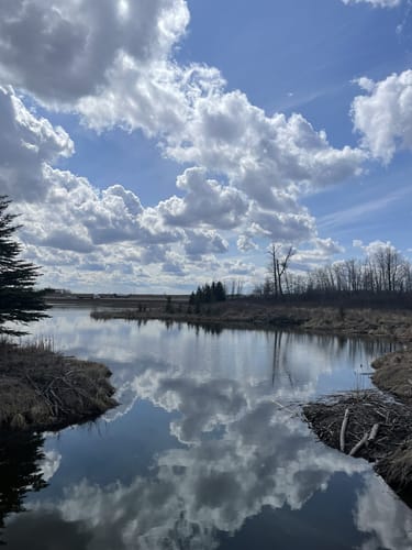 2023 Best 10 Trails and Hikes in Red Deer | AllTrails