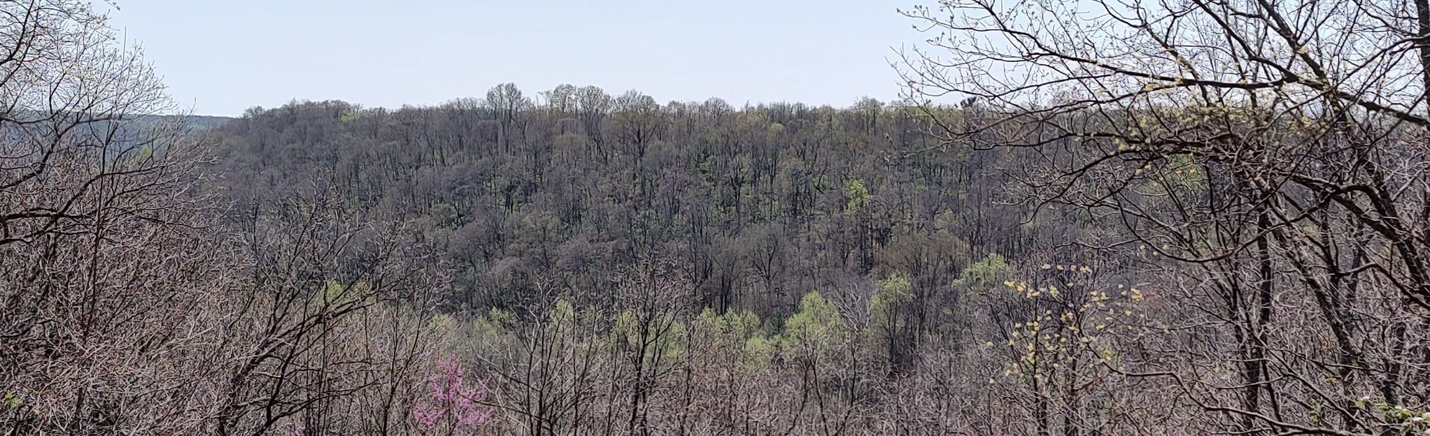 Fort Ancient Memorial Earthworks and Terrace Trail: 232 Reviews, Map ...
