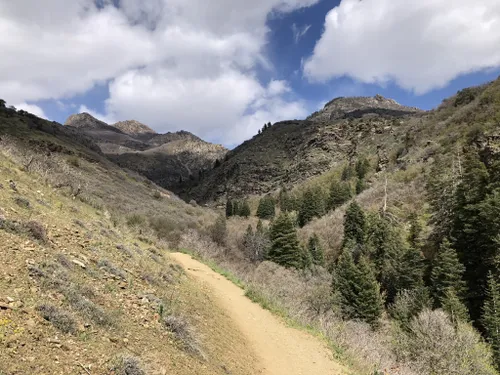 Best 10 Hikes and Trails in Uinta-Wasatch-Cache National Forest | AllTrails
