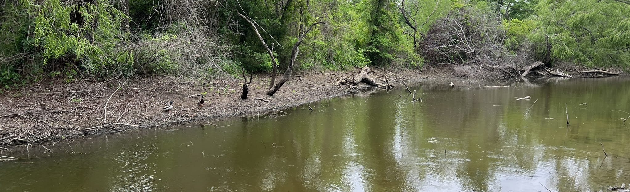 Dorba Trail Medium, Texas - 943 Reviews, Map | AllTrails