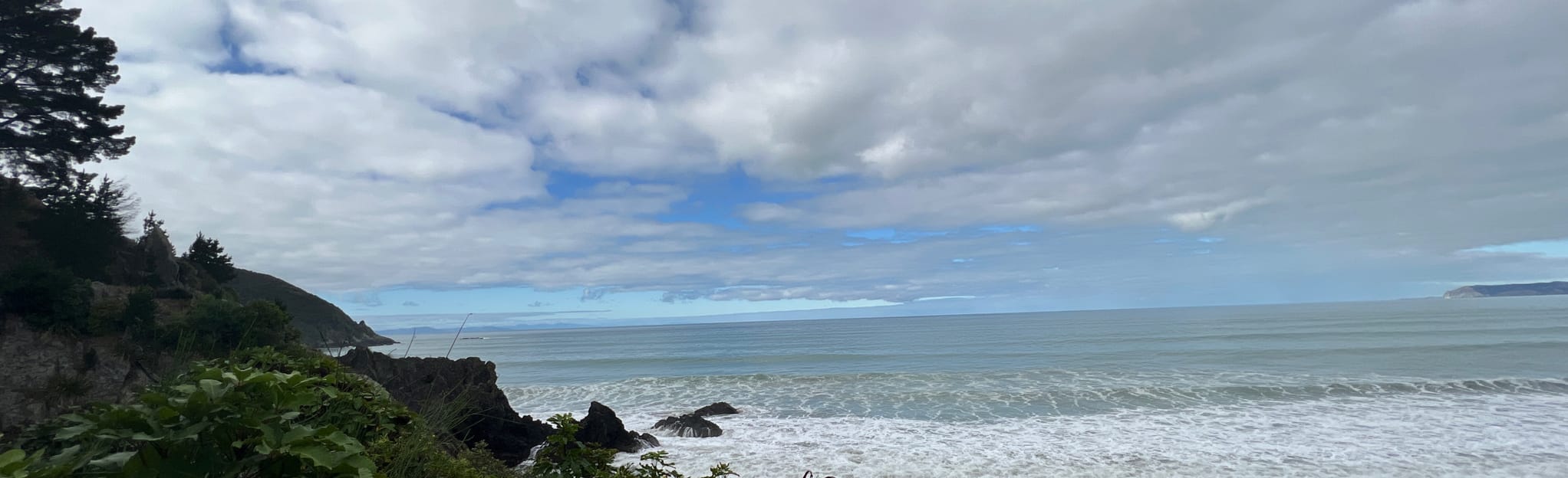 Monkey Bay Walk: 9 Reviews, Map - Marlborough, New Zealand | AllTrails