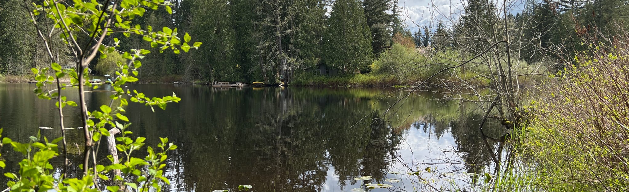Beaver Lake Park Trail: 201 Reviews, Map - Washington | AllTrails