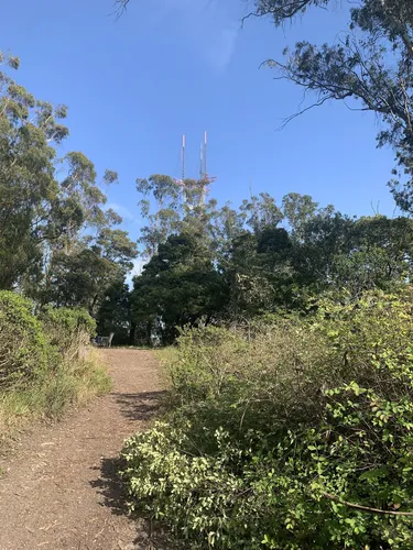 Best Hikes and Trails in Mount Sutro Open Space Reserve | AllTrails