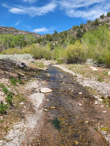 Best Hikes and Trails in Beaver Dam State Park | AllTrails