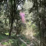 Nymfes Waterfalls, Corfu, Greece - 28 Reviews, Map | AllTrails