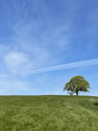 Best Hikes and Trails in Bateswood Nature Reserve | AllTrails