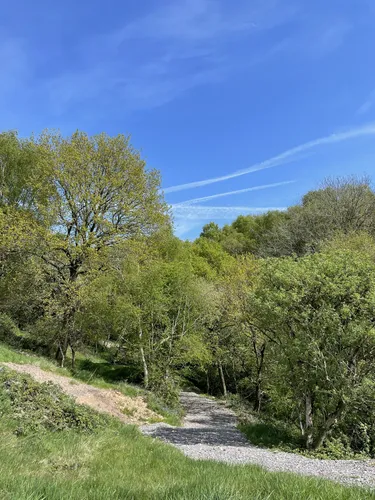 Best Hikes and Trails in Bateswood Nature Reserve | AllTrails