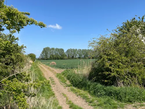 Best Hikes and Trails in Wat Tyler Country Park | AllTrails