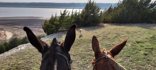 Best Hikes and Trails in Tuttle Creek State Park North Randolph Area ...