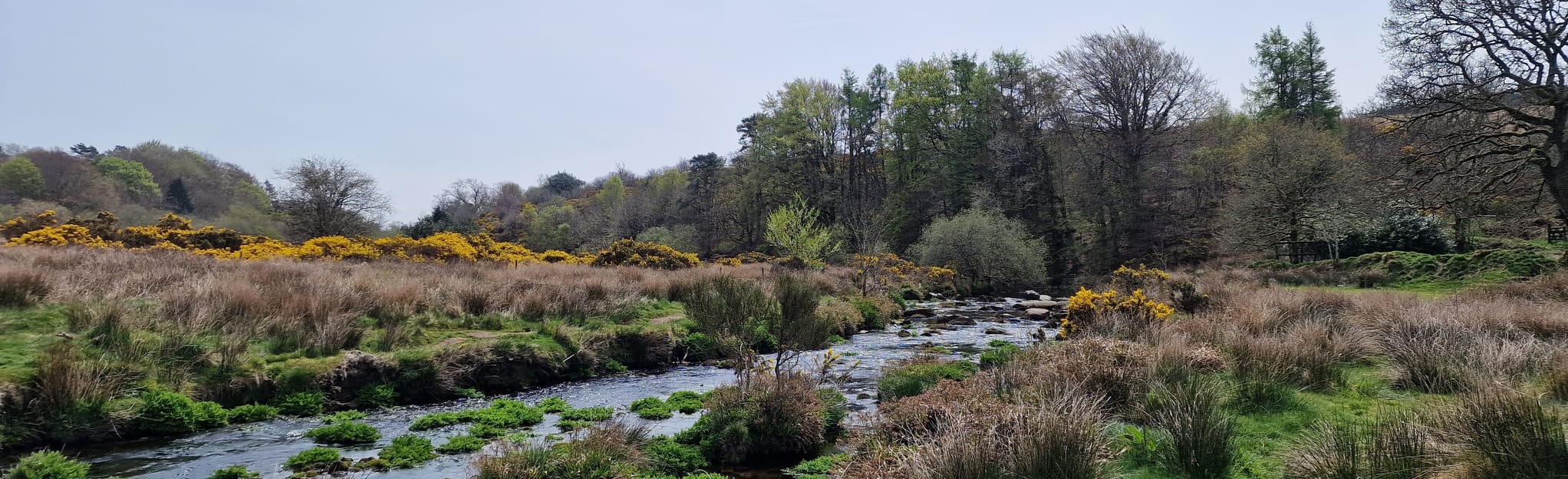 Postbridge to High Willhays Circular, Devon, England - 4 Reviews, Map ...