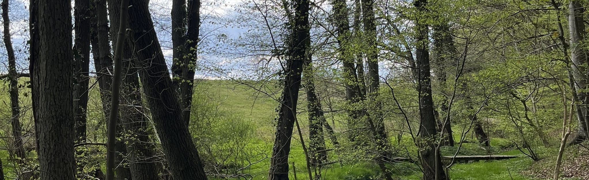 AllTrails | Hannerup Skov - Fuglsang Skov: 27 Reviews, Map - Region of ...