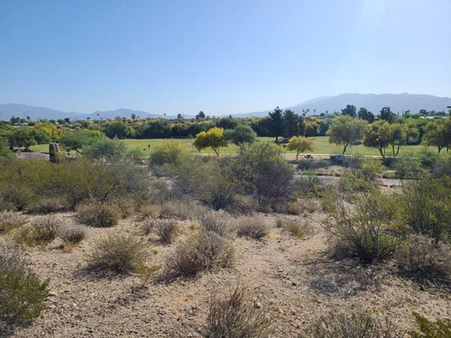 Best Hikes and Trails in Lincoln Regional Park | AllTrails